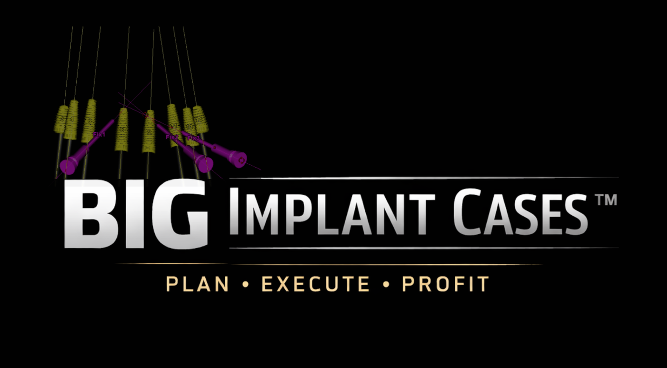 BIG IMPLANT CASE PROGRAM