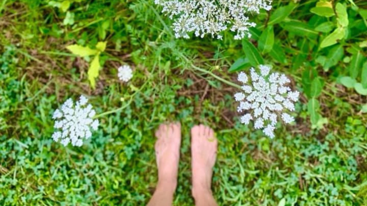Rewilding Foot Health: Natural Movement for Holistic Healing