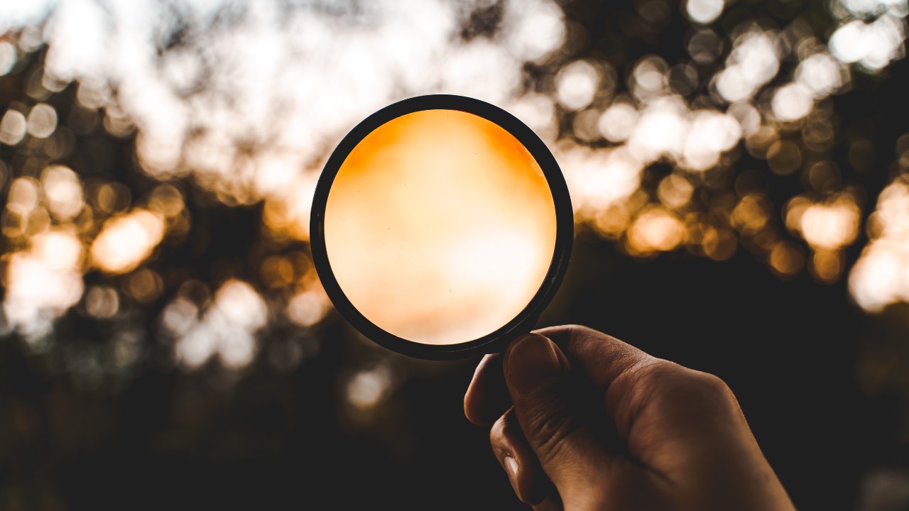 Rewilding Wellness: Decode Your Body's Wisdom for True Health