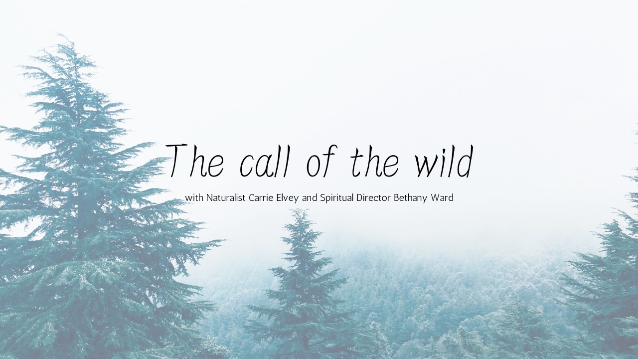The Call of the Wild