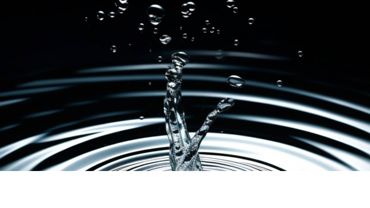 What Is Purpose Exactly?