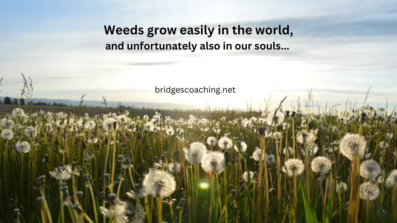 Weeds are part of the curse and need to be recognized and removed!
