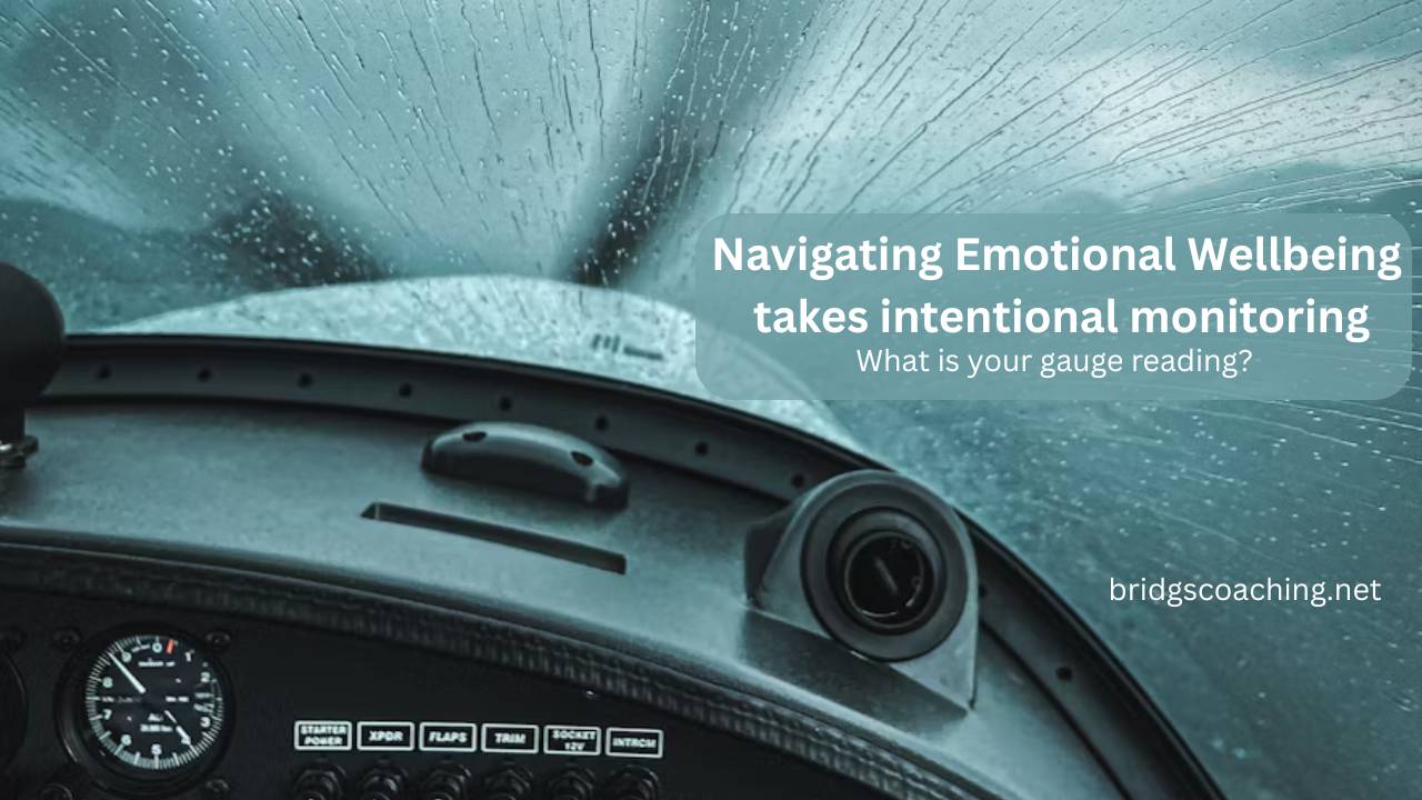 Its worth it to monitor emotional wellbeing gauges - yours and theirs!