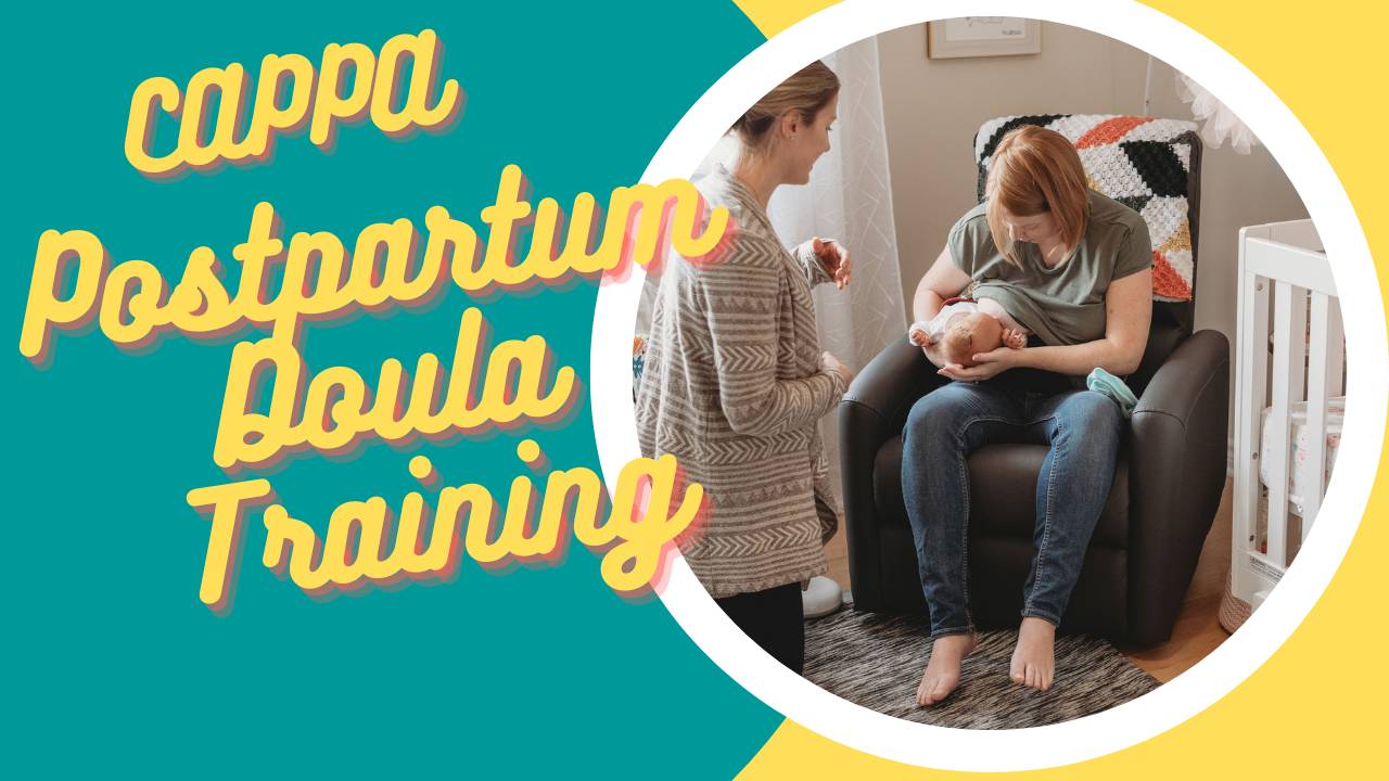 Postpartum Doula Training Workshop