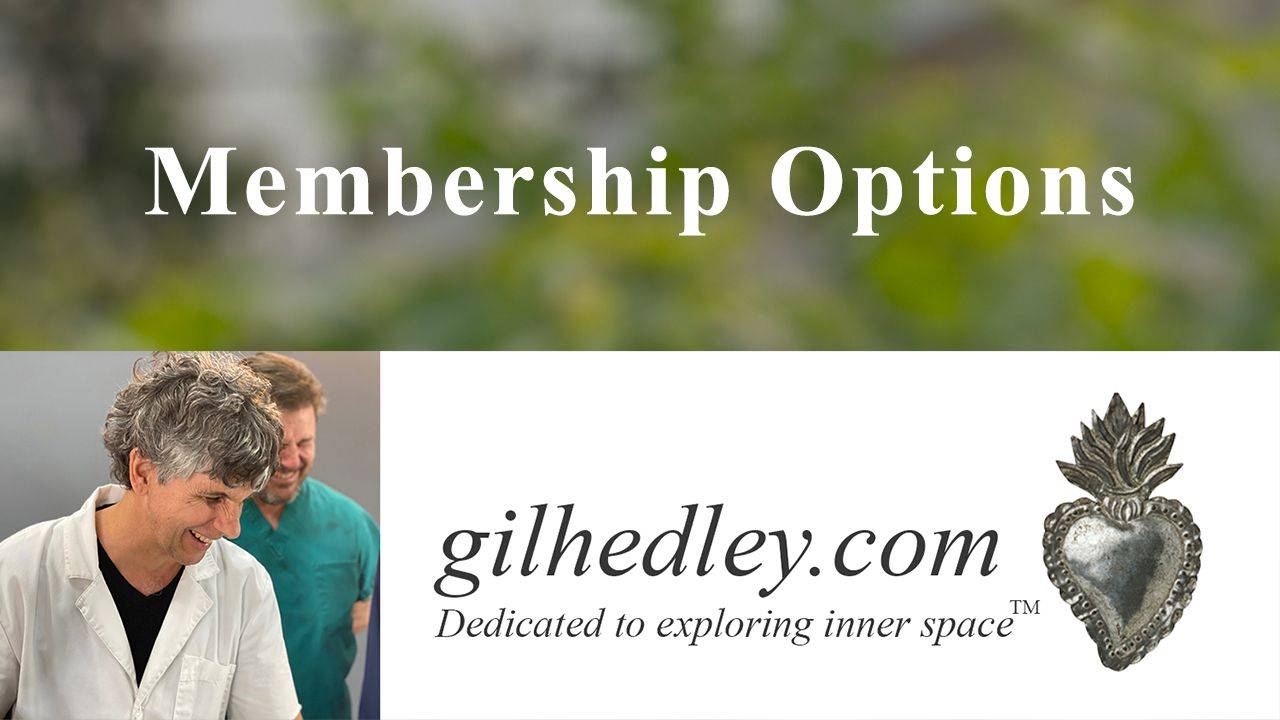 Membership Options for Gil Hedley's Integral Anatomy Education Site