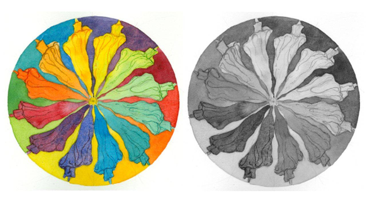 What is Colour Play in Art?
