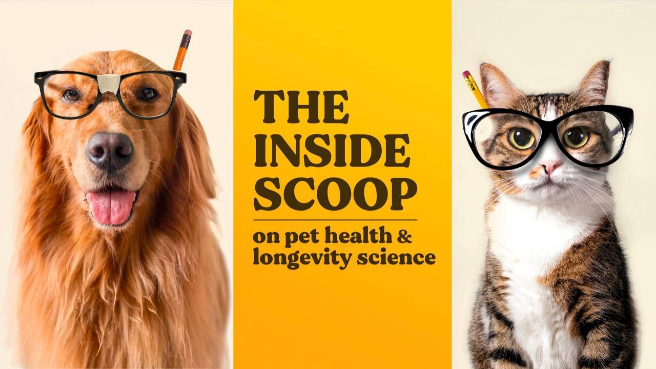 Planet Paws Membership Group