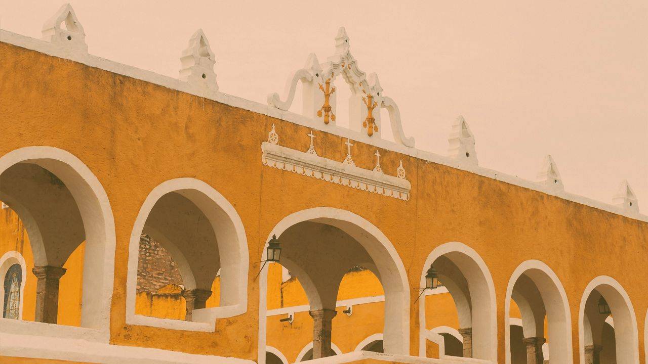 Elevate Your Organization The Power Of Professional Coaching