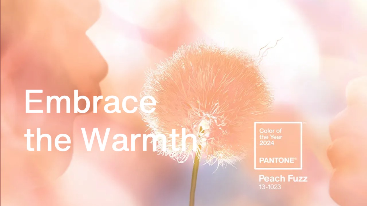 2024 Pantone Color of The Year: Peach Fuzz | Hue And Style