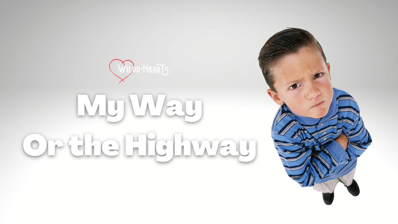 My Way Or the Highway