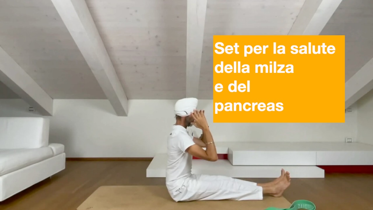 Set per la salute della Milza e del Pancreas