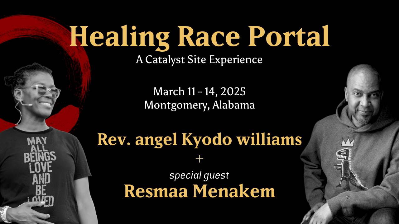 Healing Race Portal: A Catalyst Site Experience