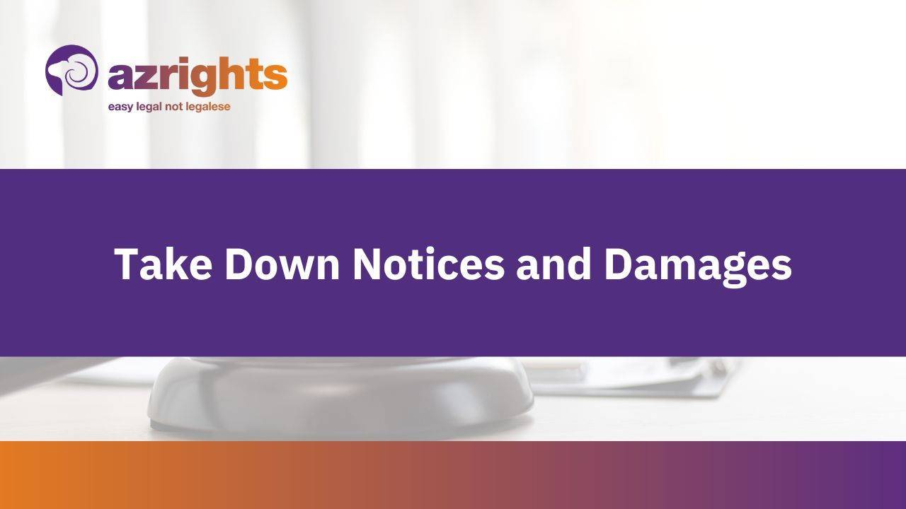 Take Down Notices and Damages