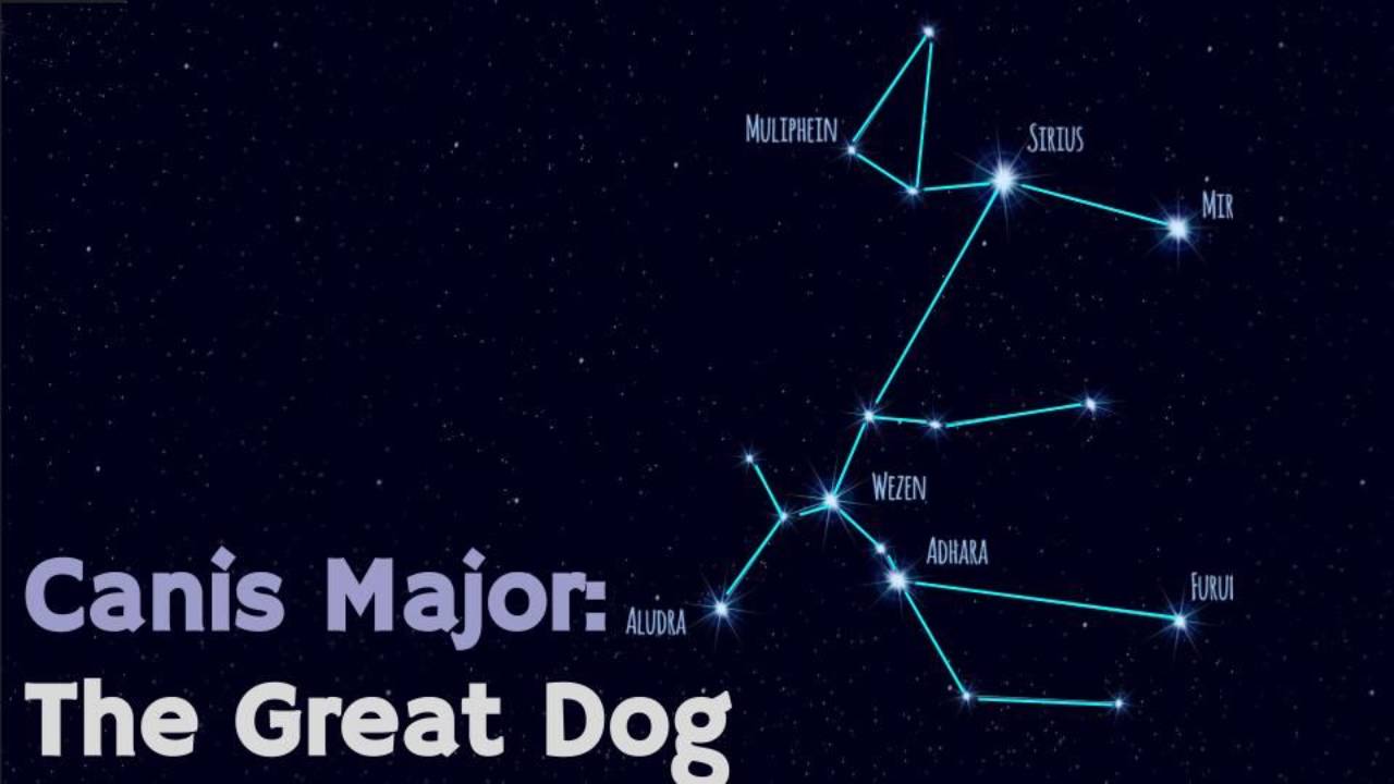 Canis Major - The Great Dog Constellation
