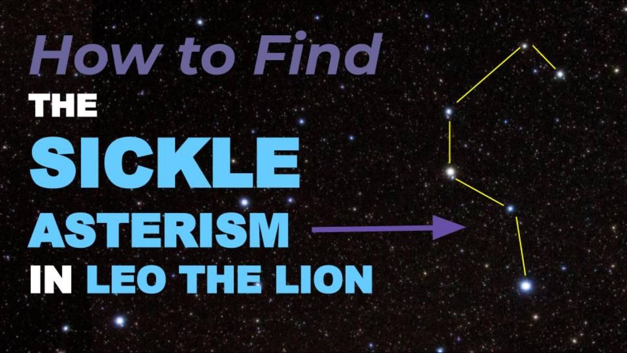 The Sickle Asterism within the Leo the Lion Constellation