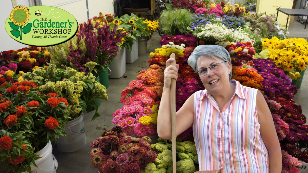 Where To Sell Cut-Flowers: The Best Markets For Your Flower Farm