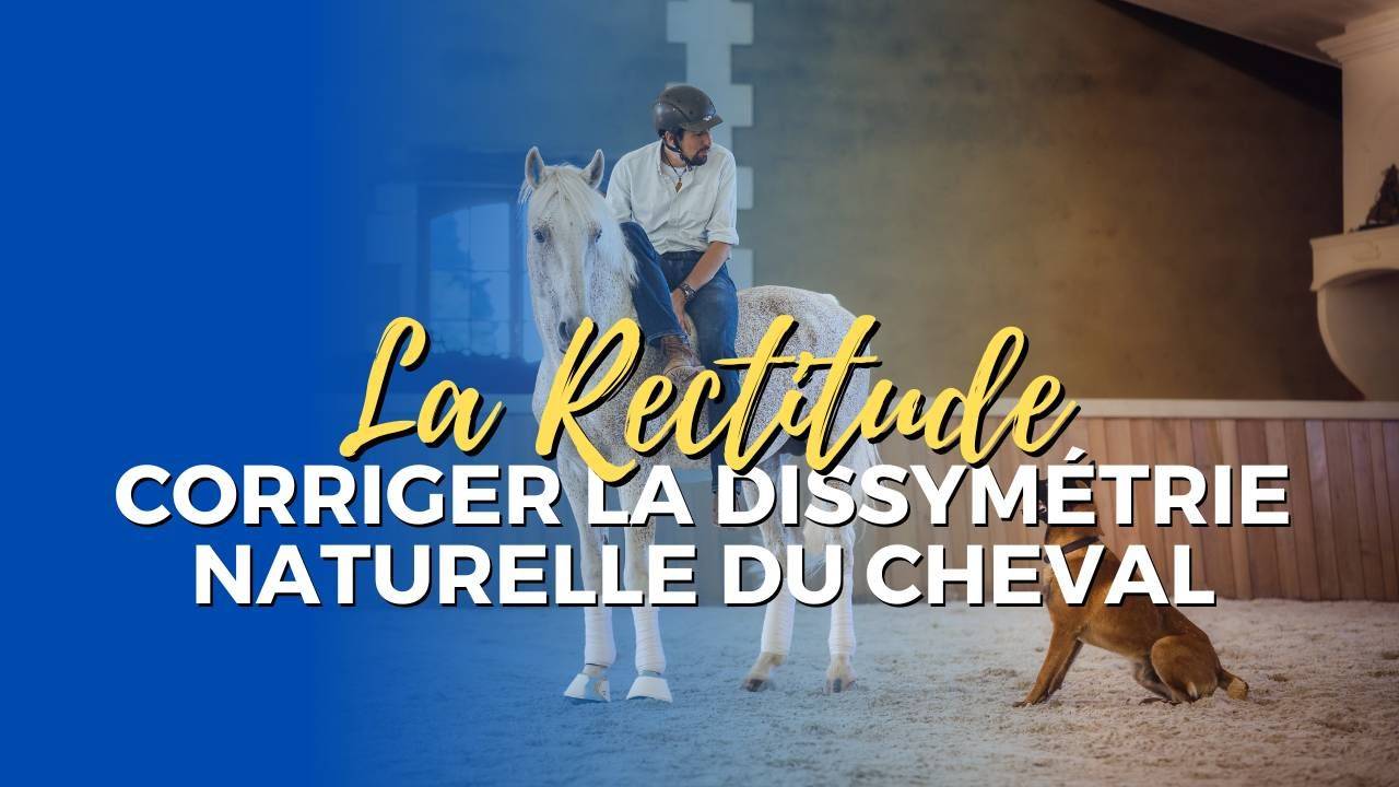 Masterclass Rectitude