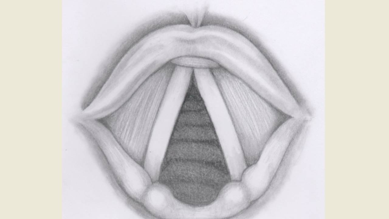 Voice worries: is your voice cracking up? Nodules a concern?