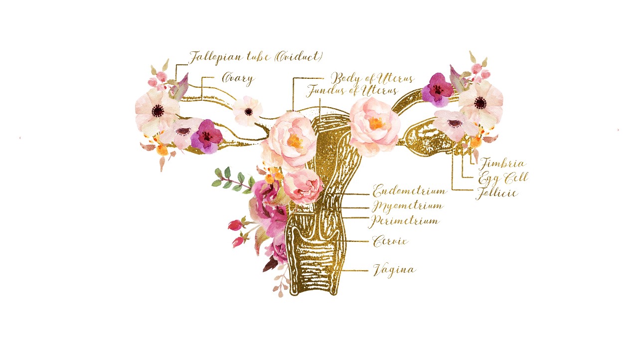 Guided Fertility Visualization