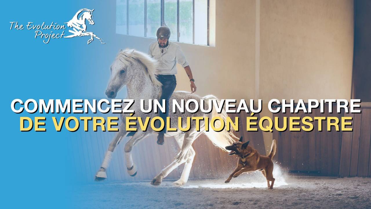 The Evolution Project