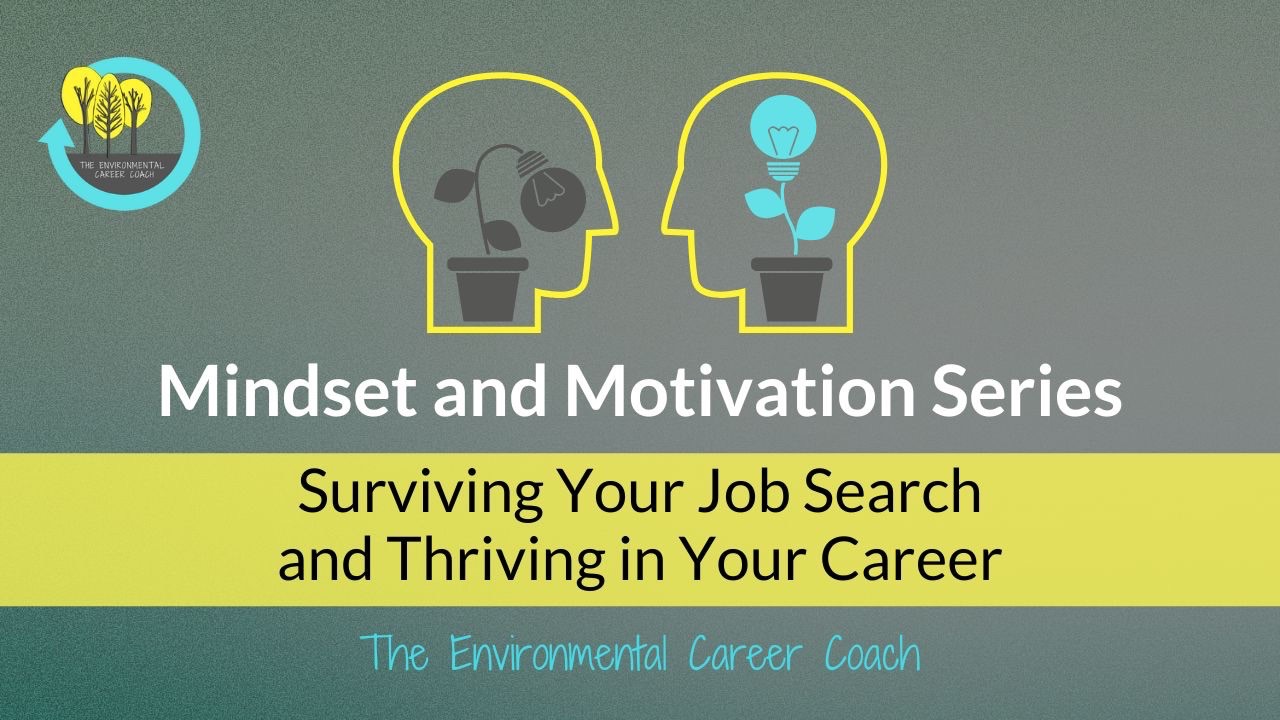 Everything you need to know to feel better about your search & career
