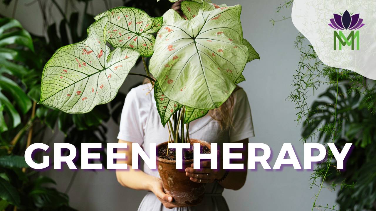 How Plant Care Cultivates Mindfulness and Boosts Mental Health
