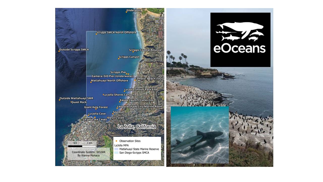 MPA Observer Program