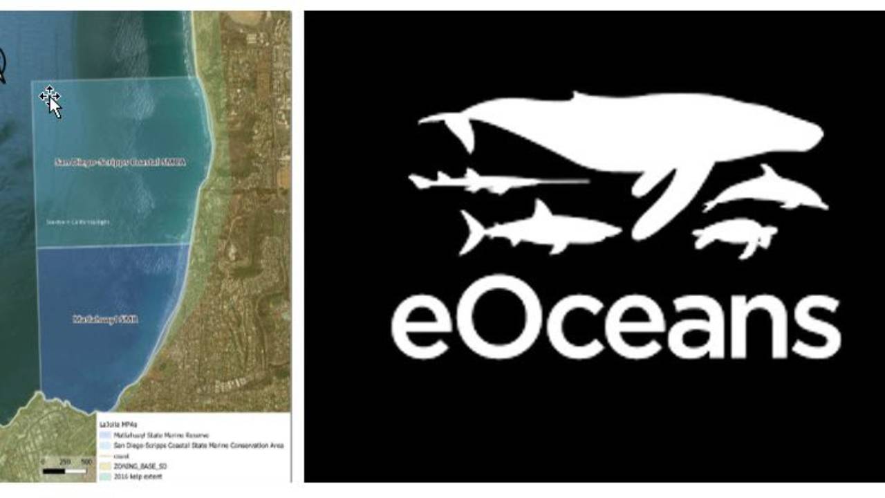 MPA Observer Program