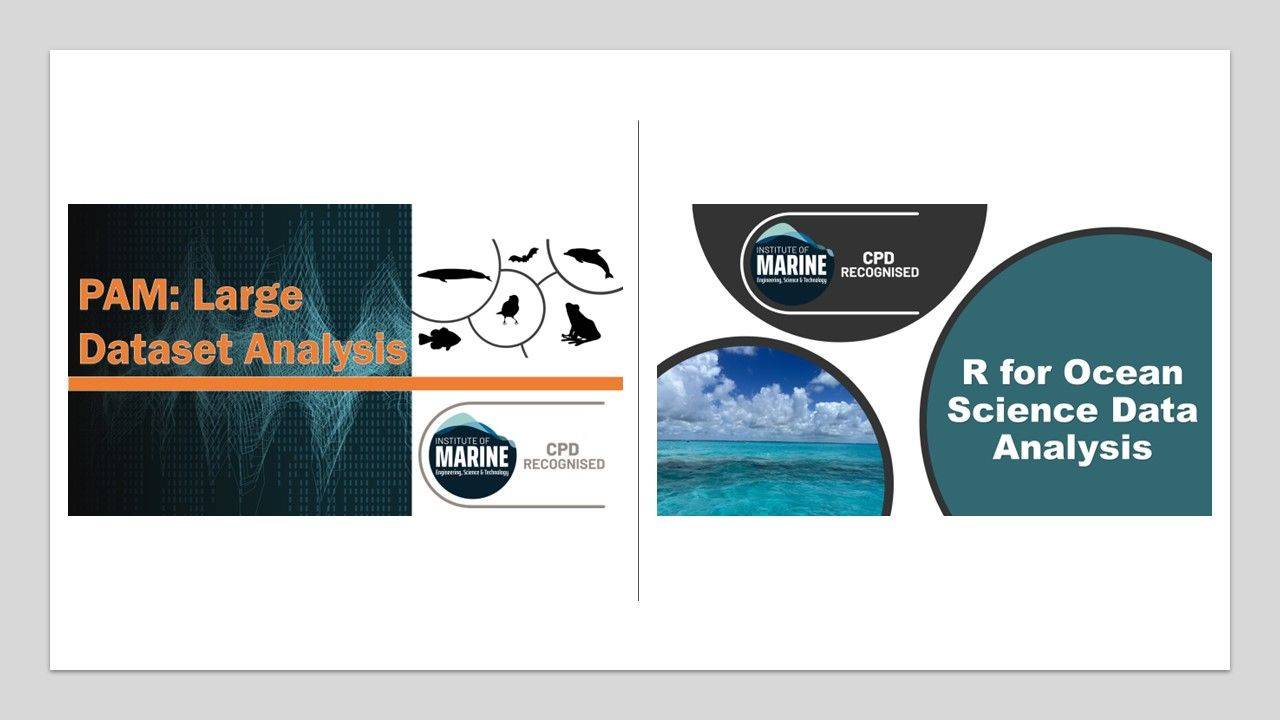 OSA Develops Online Courses to Support Workforce Skill Development