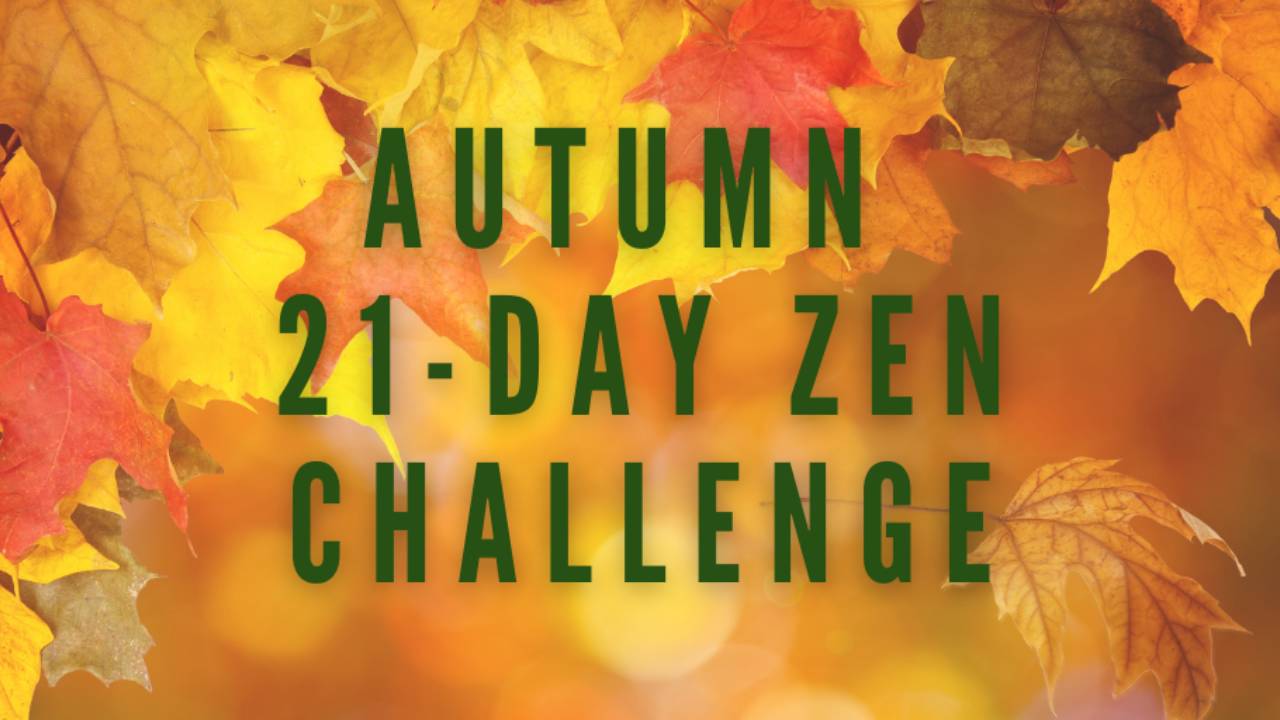 21-Day Zen Challenge
