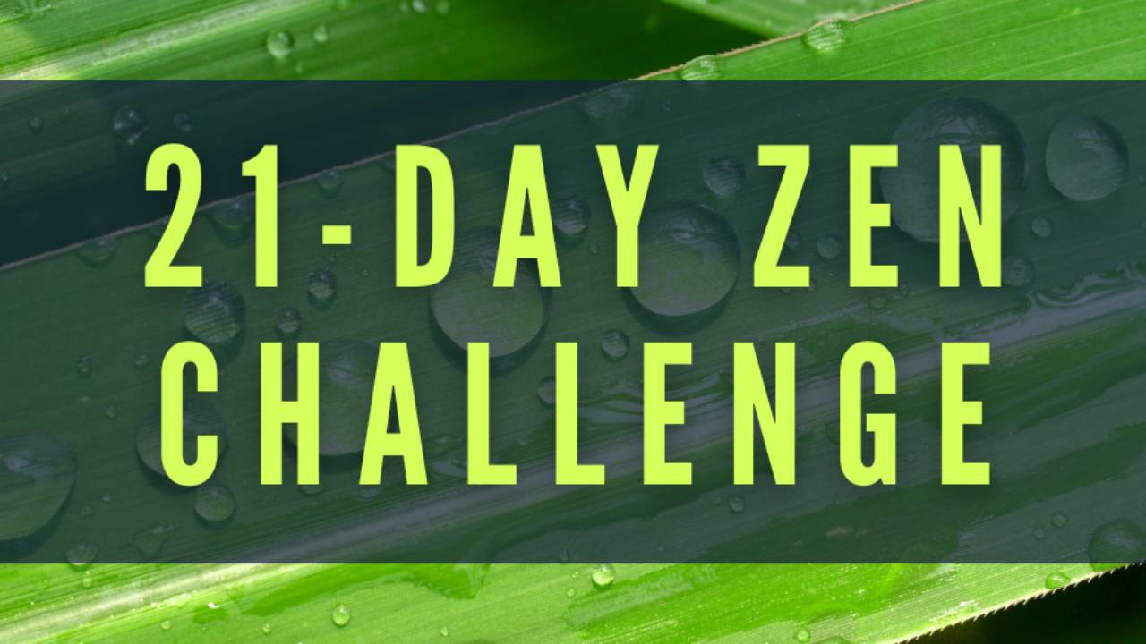 21-Day Zen Challenge