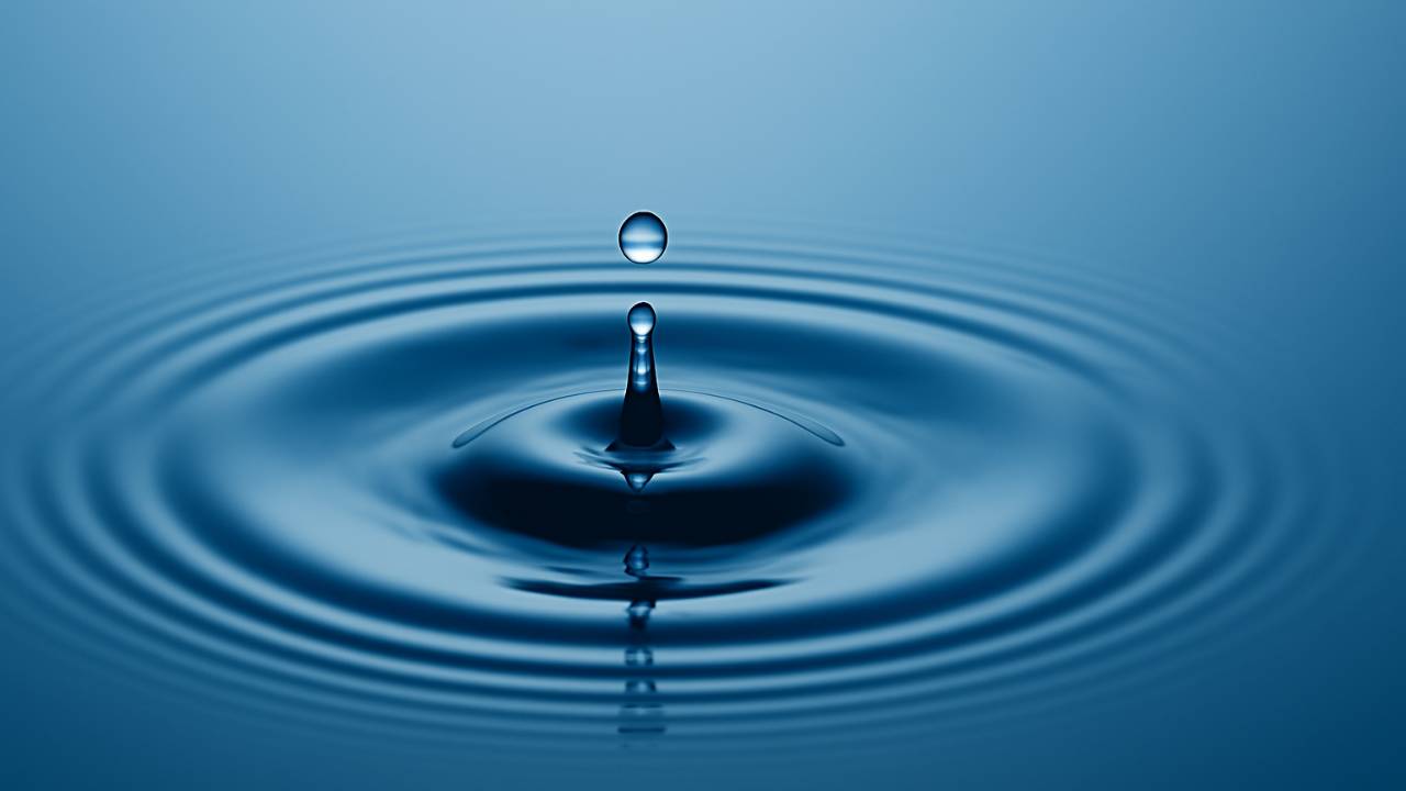 Where the Ripple Began: Borrowing Excellence and Building What Lasts