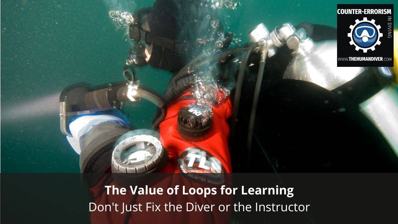 The Value of Loops for Learning: Don't Just Fix the Diver / Instructor