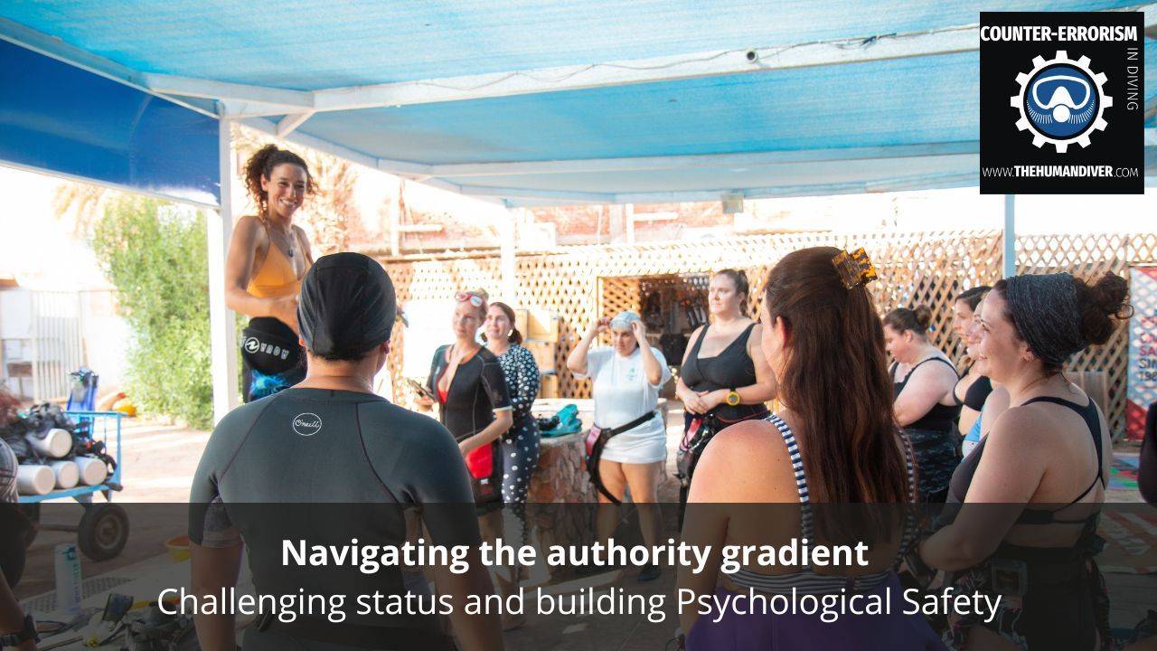 Navigating the Authority Gradient #1