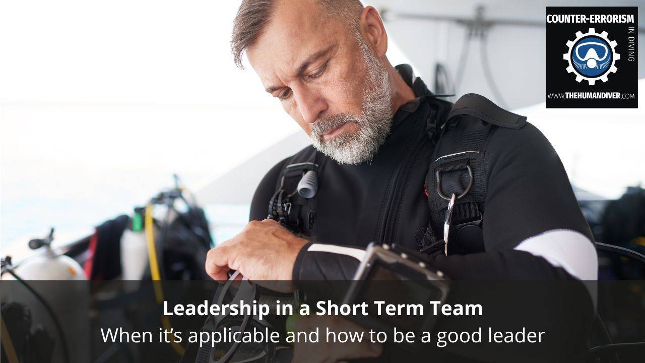 Leadership in a Short Term Team