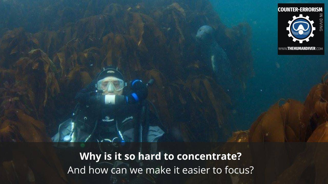 Why is it so hard to concentrate?