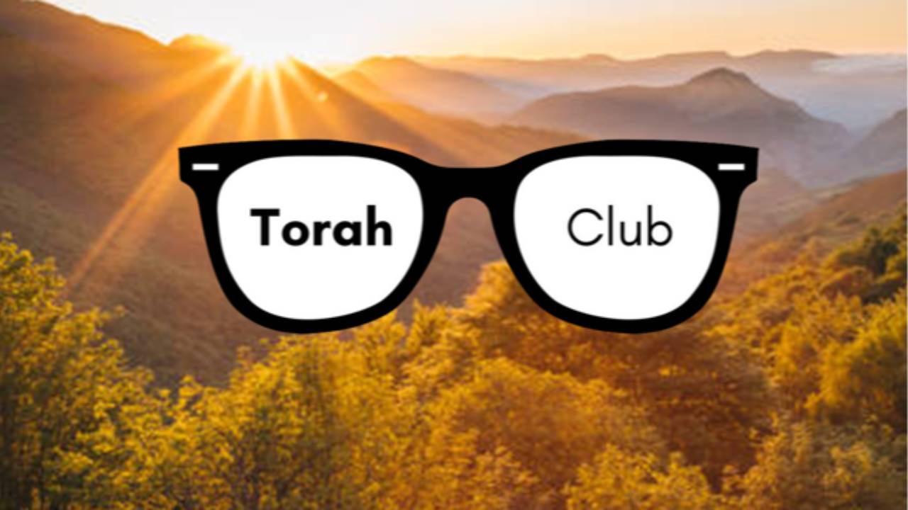 TorahClub - About Us