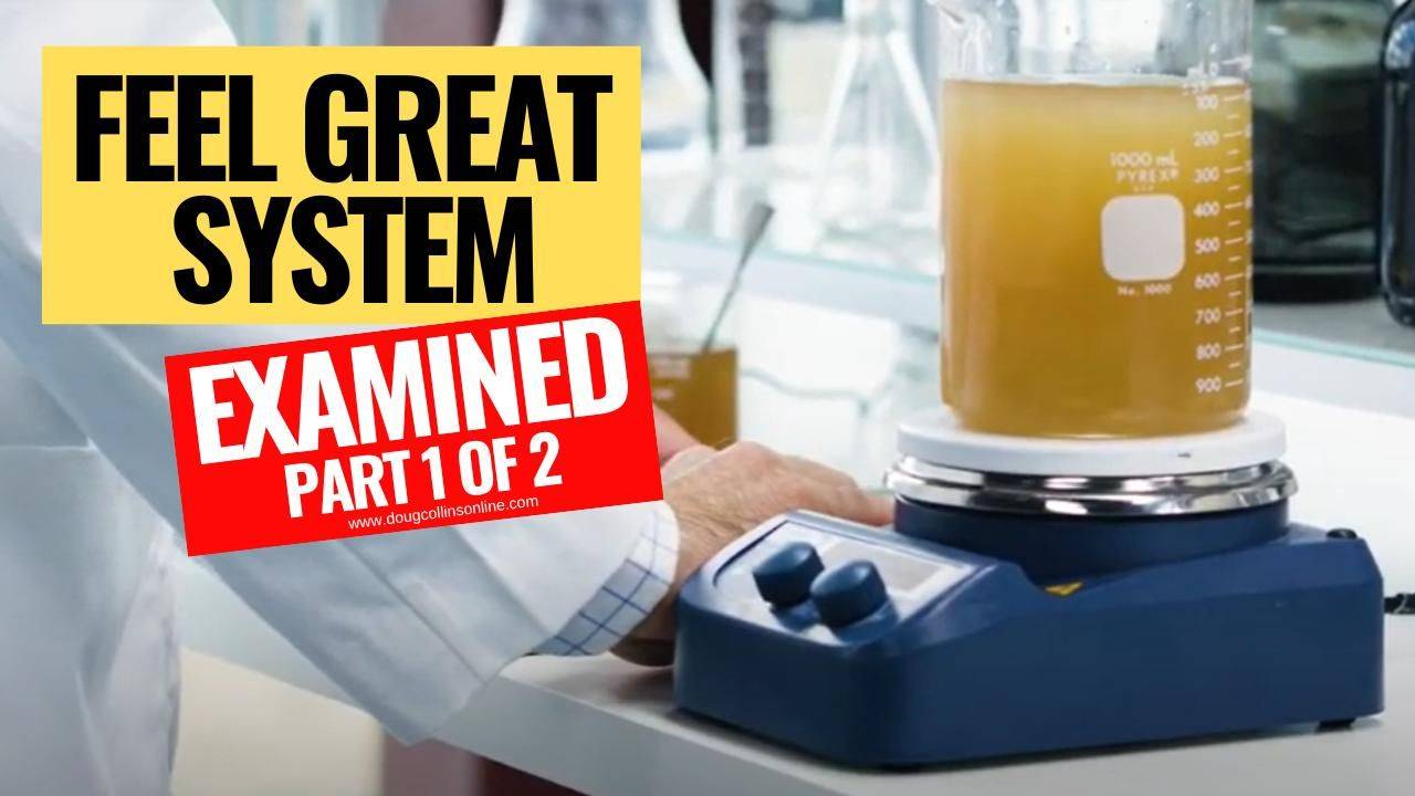 Feel Great System: Review & Critique - Part 1: Is It Legit?