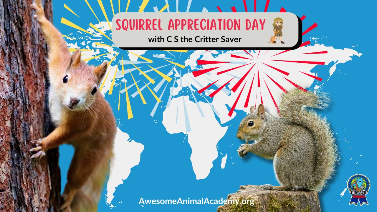 Celebrate Squirrel Appreciation Day