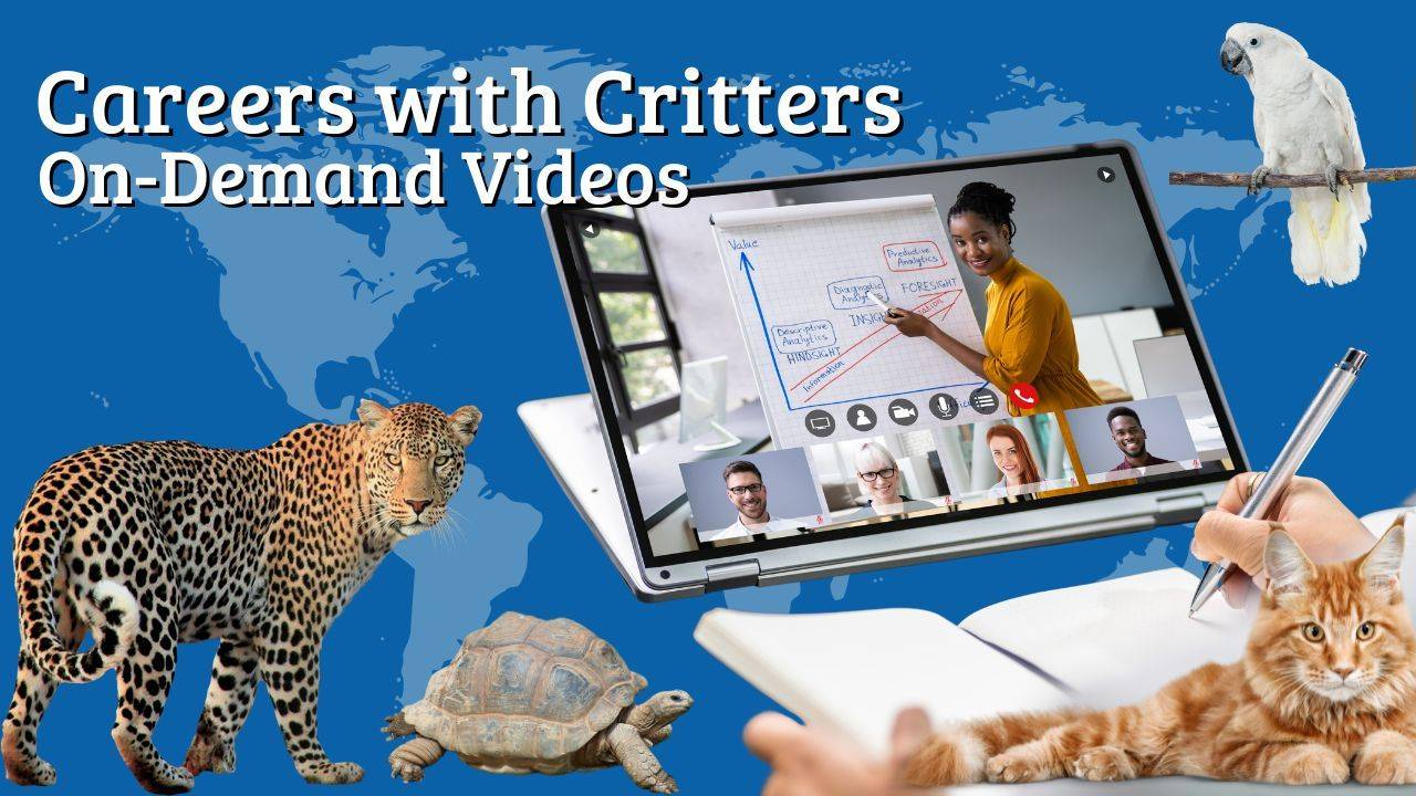 Careers with Critters On-Demand Videos