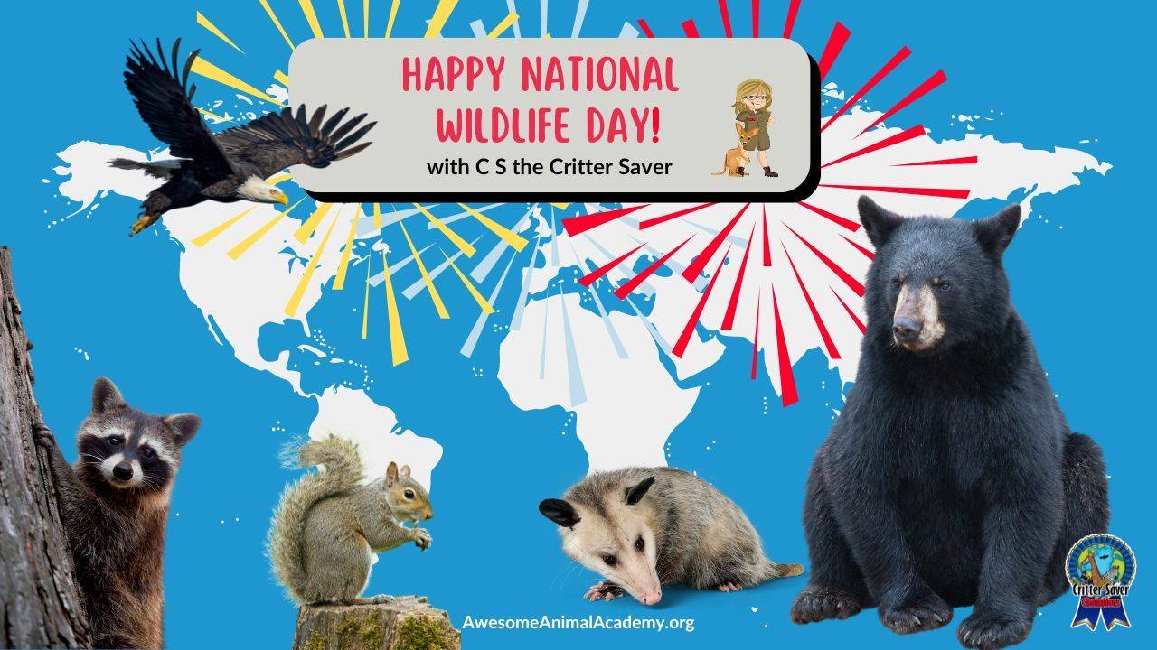 National Wildlife Day
