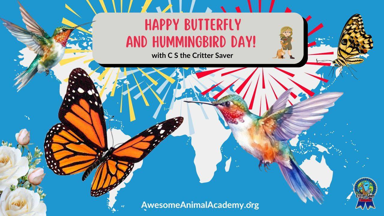 Celebrate Butterfly and Hummingbird Day with a Fun Twist!