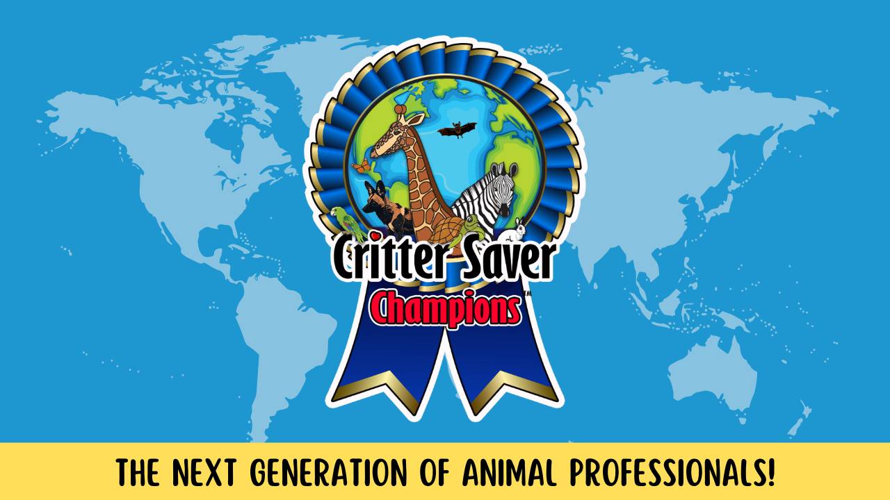 Awesome Animal Academy