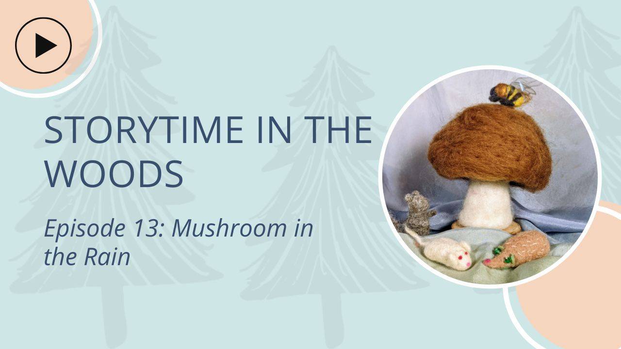 Mushroom in the Rain – Gentle Spring Story for Children