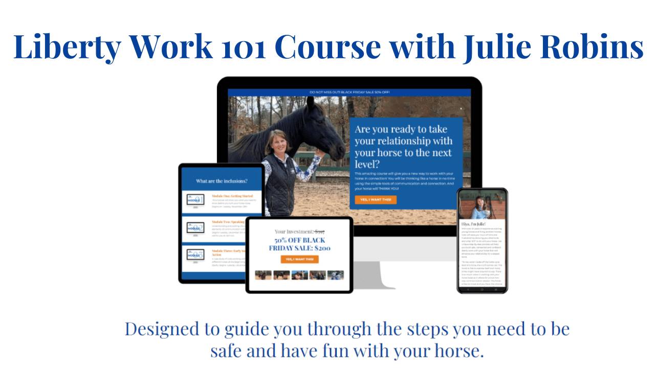 Liberty Work 101 Course