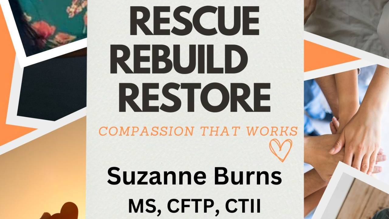 Rescue Rebuild Restore book