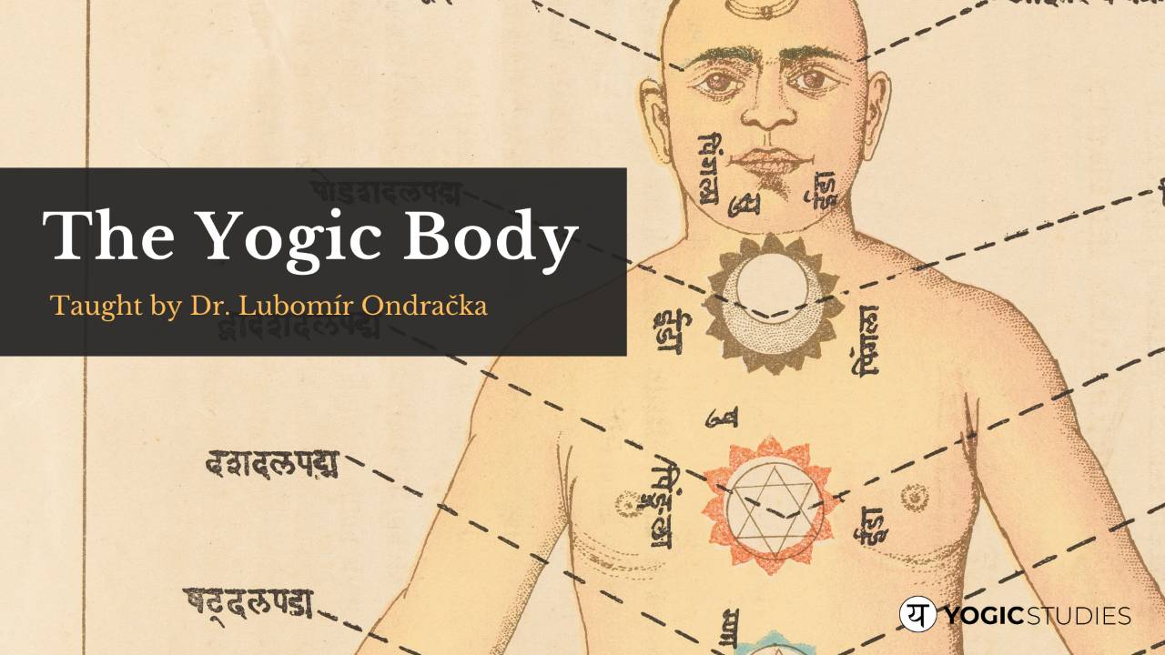 YS 124 | The Yogic Body