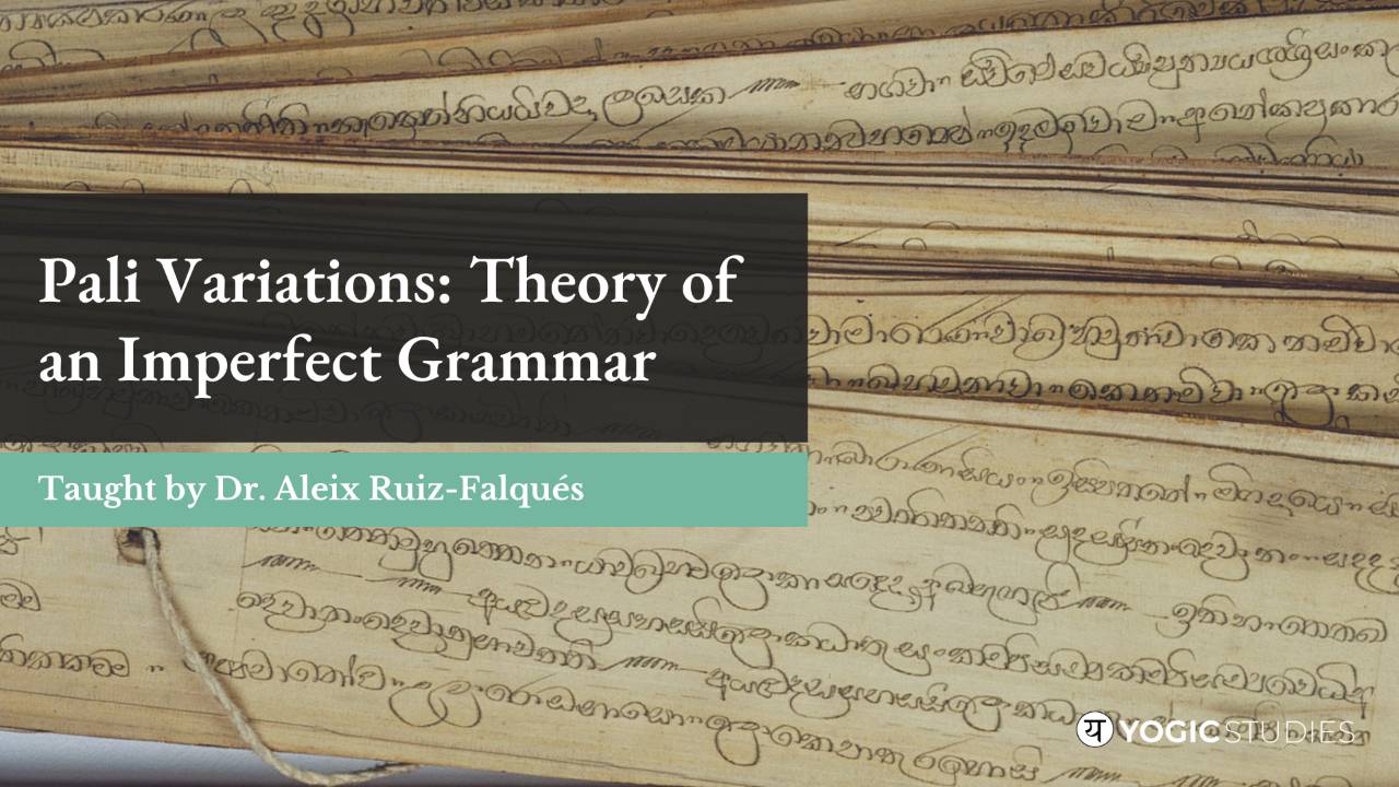 PALI 200 | Pali Variations: Theory of an Imperfect Grammar