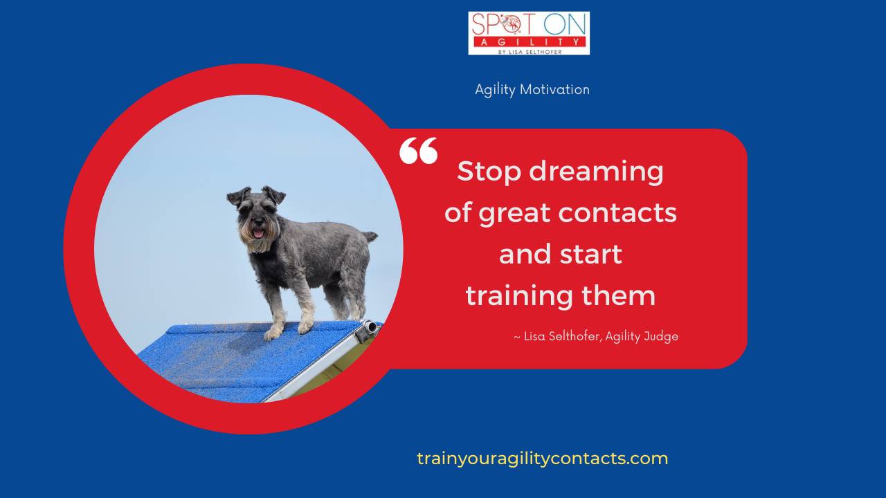 Let's tackle the most common fault in agility trials 🐾