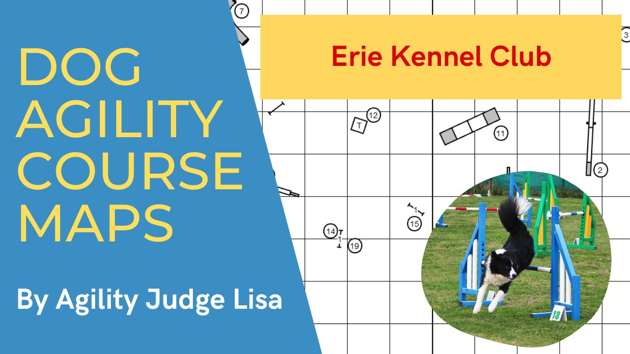 AKC Agility Course Maps Erie PA FRI